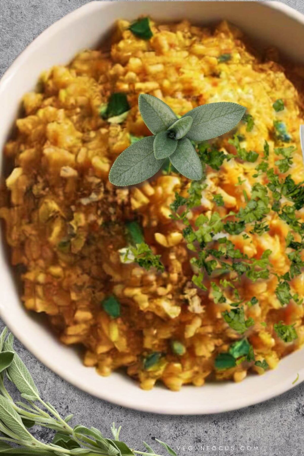 Vegan Pumpkin Risotto - Vegan Focus